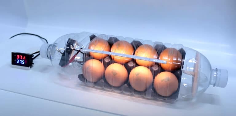 How to Make a Chicken Incubator - Chicken Farmers Union